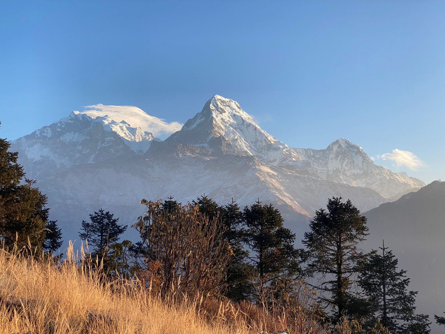 Best Ghorepani Poon Hill Trek - Red Reach Himalaya Trek