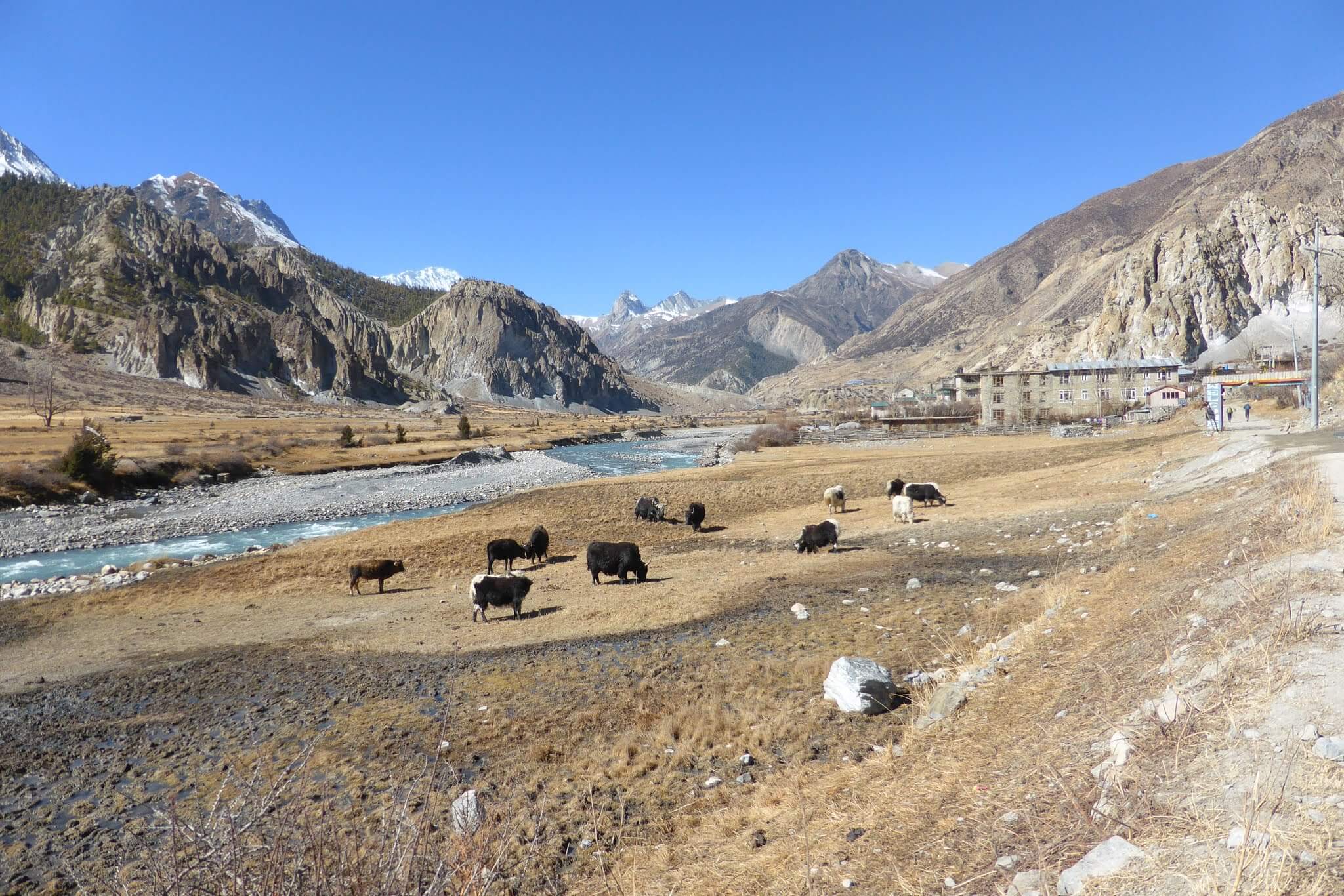 Manang Valley Heli Trek - An Ultimate Heli Trip to Manang 2024-25