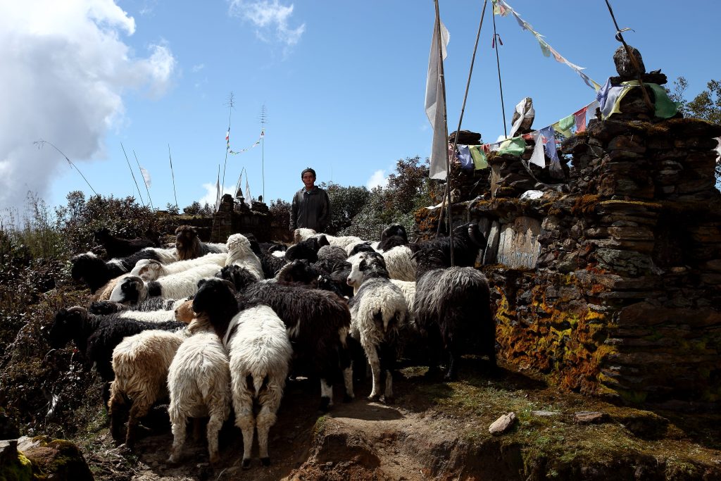 Hatiya and Topkegola trek - Red Reach Himalaya Trek