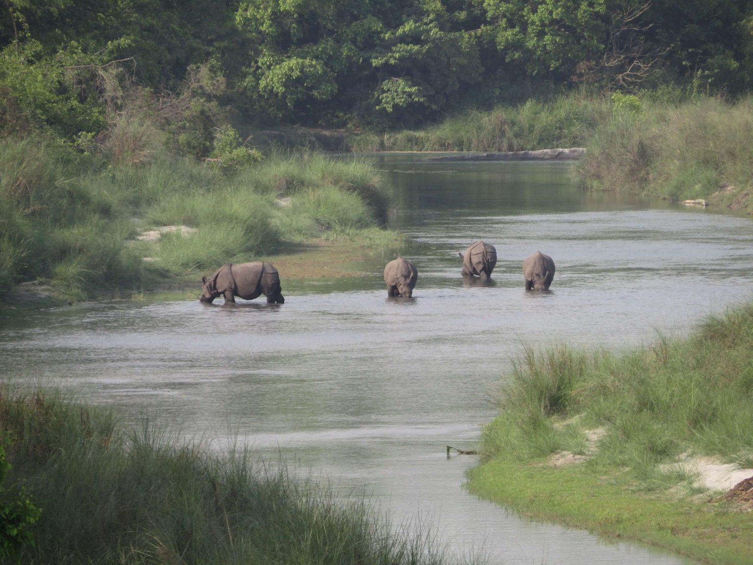 Bardiya National Park - Red Reach Himalaya Trek