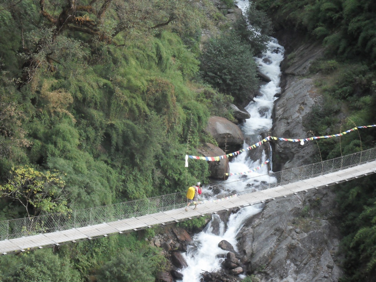 Langtang Trek Solo Trekking: Tips for Independent Travelers