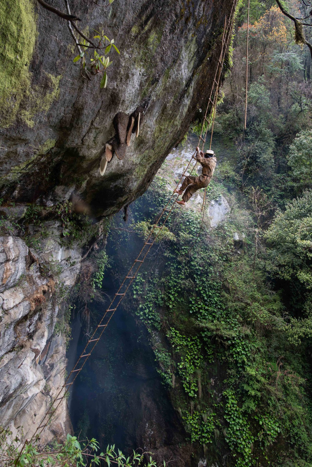 Honey Hunting in Nepal: Mad Honey & Ancient Traditions