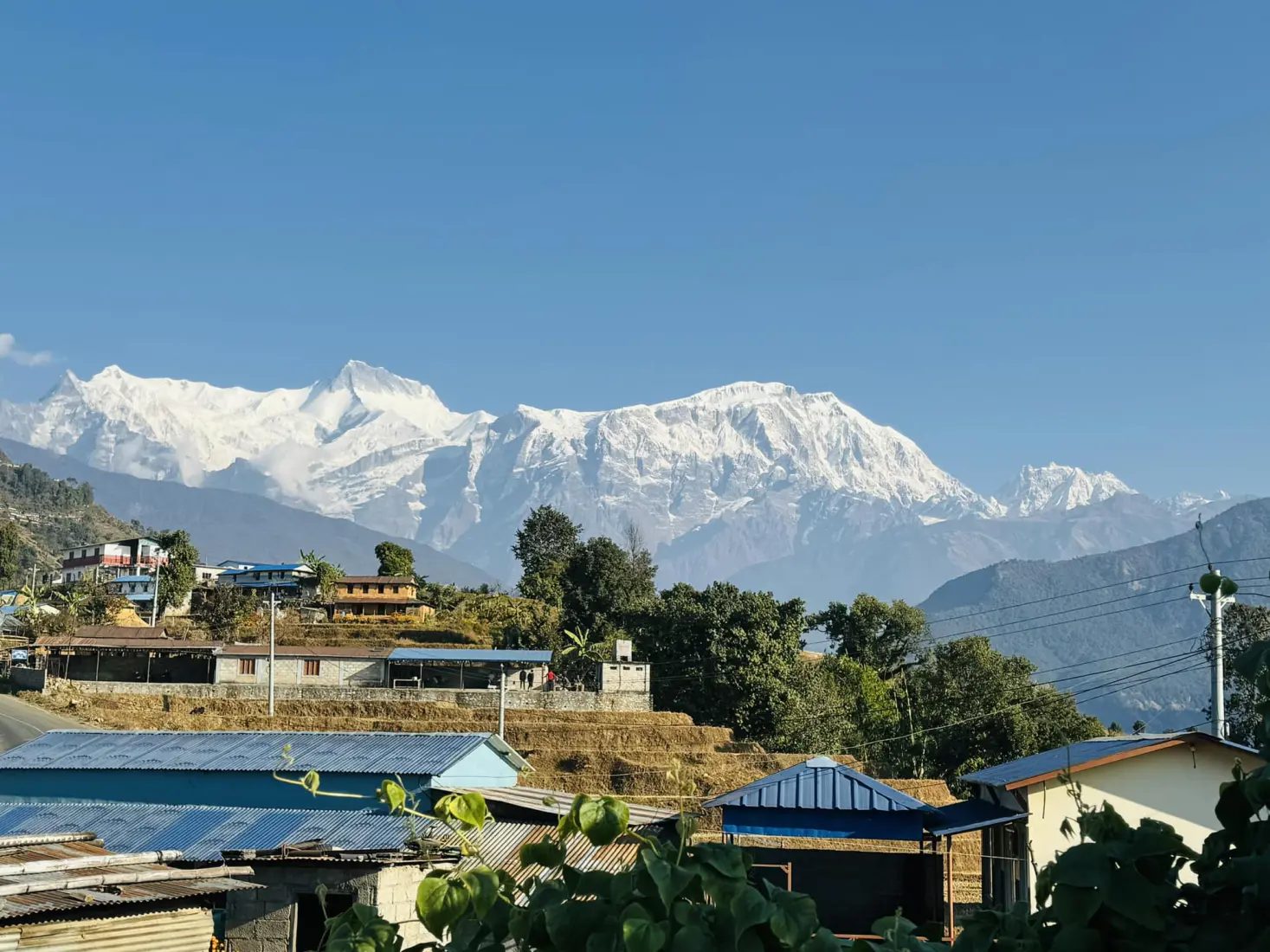 Solo Trekking Along Hidden Trails of Kori Kapuche Lake Trek